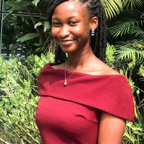 Step-by-Step Guide To Renewing Your Nigerian Passport From The UK