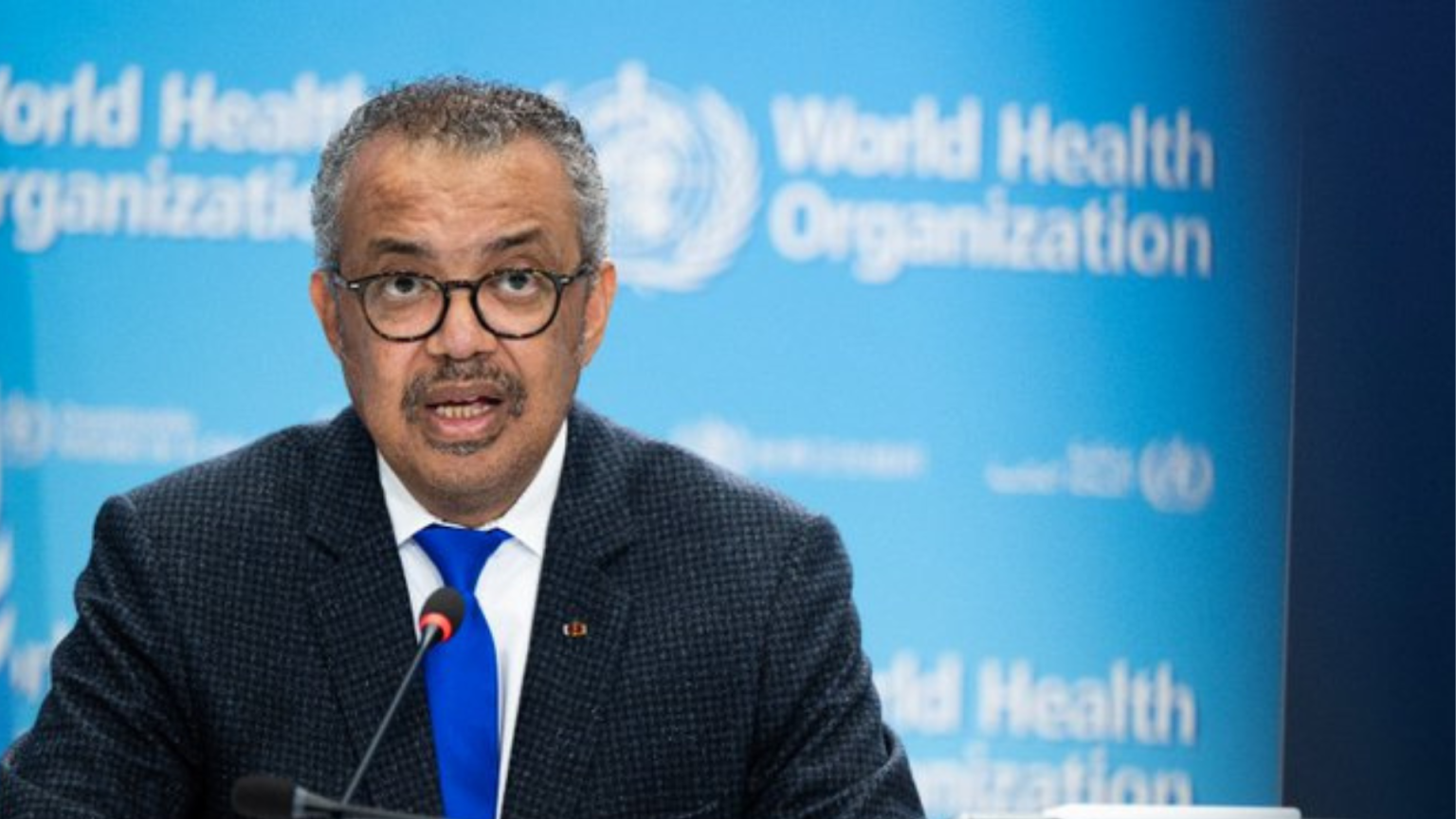 How Global Health Declarations Shape National Policies